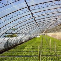 China Irrigation and Ventilation System for Shading Cucumber Planting in Sunlight Greenhouse for sale