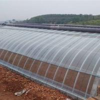 China Irrigation and Ventilation System for Shading Cucumber Planting in Sunlight Greenhouse for sale