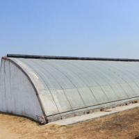 China 2000.000kg Juxiang's Commercial Sunlight Greenhouse for Strawberry Farming jx-sg-108 for sale