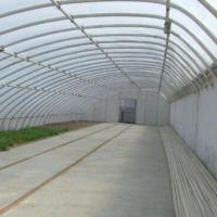 China 2000.000kg Juxiang's Commercial Sunlight Greenhouse for Strawberry Farming jx-sg-108 for sale