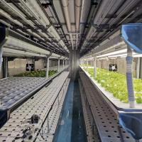China Hydroponic Cultivation Greenhouse for Leafy Vegetables Cultivation Method Hydroponics for sale