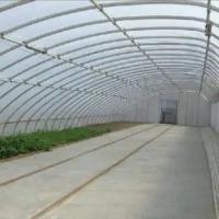 China 2000.000kg Tomato and Cucumber Cultivation Sunlight Greenhouse Solution with Arched Roof for sale