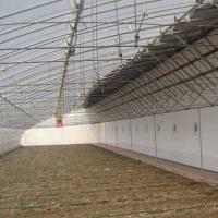 China 1209cm * 235cm * 239cm Ventilation and Shading Cucumber Planting Greenhouse for Sunlight for sale