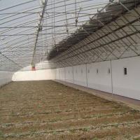 China 1209cm * 235cm * 239cm Ventilation and Shading Cucumber Planting Greenhouse for Sunlight for sale