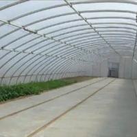 China 1209cm * 235cm * 239cm Ventilation and Shading Cucumber Planting Greenhouse for Sunlight for sale