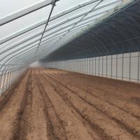 China Large-Scale Cucumber Farming Made Easy with Humidity-Controlled Commercial Greenhouse for sale