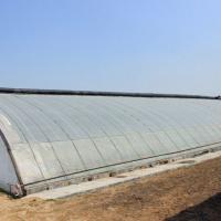 China Large-Scale Cucumber Farming Made Easy with Humidity-Controlled Commercial Greenhouse for sale