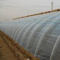 China Tomato Farming Sunlight Greenhouse with Humidity Control and Temperature Control for sale
