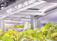 China Steel Structure Hydroponic Container Greenhouse with Multi-Span Vertical Farming System for sale