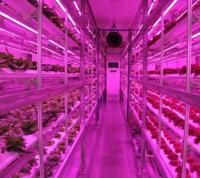 China Steel Structure Hydroponic Container Greenhouse with Multi-Span Vertical Farming System for sale