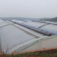 China Commercial Hydroponic Greenhouse for Cucumber Planting Heating Method Temporary Heating for sale