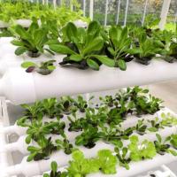 China 1209cm * 235cm * 239cm Vertical Farming Container Greenhouse with Hydroponic Setup for sale