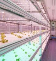 China Steel Structure Hydroponic System Container Greenhouse for Vertical Farming Solution for sale
