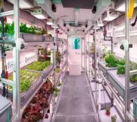 China Steel Structure Hydroponic System Container Greenhouse for Vertical Farming Solution for sale