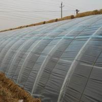 China US Currency Commercial Tomato Planting Sunlight Greenhouse for Optimal Crop Production for sale