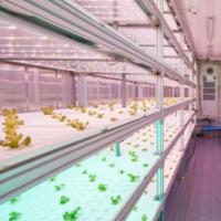China Shipping Container Greenhouse for Hydroponic Vertical Farming in Commercial Industry for sale