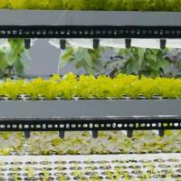 China Shipping Container Greenhouse for Hydroponic Vertical Farming in Commercial Industry for sale