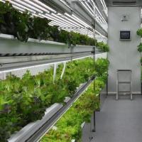 China Shipping Container Greenhouse for Hydroponic Vertical Farming in Commercial Industry for sale
