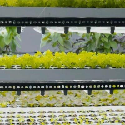 China Commercial Greenhouse Hydroponic Vertical Farming Container for sale