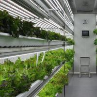 China Commercial Greenhouse Hydroponic Vertical Farming Container for sale