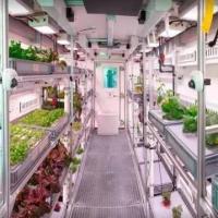 China Commercial Greenhouse Hydroponic Vertical Farming Container for sale