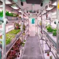 China Commercial Vertical Farming Container Greenhouse With Hydroponic System for sale