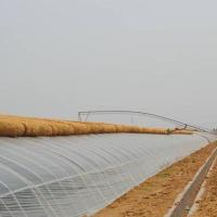 China Temporary Heating Climate-Controlled Sunlight Greenhouse for Tomato and Cucumber for sale