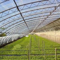 China Temporary Heating Climate-Controlled Sunlight Greenhouse for Tomato and Cucumber for sale