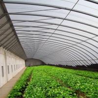 China Temporary Heating Climate-Controlled Sunlight Greenhouse for Tomato and Cucumber for sale