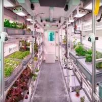 China Vegetables Hydroponic System Container Greenhouse for Vertical Farming Setup JX-CG-103 for sale
