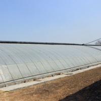 China Steel Structure/Wall Humidity-Controlled Sunlight Greenhouse for Vegetable Farming for sale