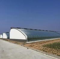 China Juxiang Automated Irrigation Sunlight Greenhouse for Vegetables Ventilation and Shading for sale