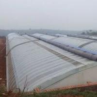 China Juxiang Automated Irrigation Sunlight Greenhouse for Vegetables Ventilation and Shading for sale
