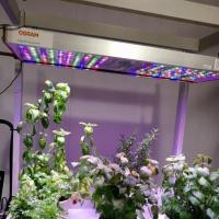 China Versatile Commercial Greenhouse for Hydroponic Vertical Farming in Shipping Container for sale