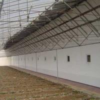 China Irrigation System Sunlight Greenhouse for Vegetable US Currency and Temporary Heating for sale