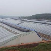China Irrigation System Sunlight Greenhouse for Vegetable US Currency and Temporary Heating for sale