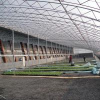 China Sunlight-Enhanced Greenhouse for Tomato Cultivation Double Layer and Arched Roof for sale