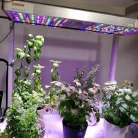 China Double Layer Steel Cover Vertical Farming Container Greenhouse for Eco-Friendly House for sale