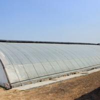 China Double Layer Greenhouse for Vegetable Farming and Temporary Heating Productivity for sale