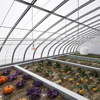 China Commercial Tomato Growing Sunlight Greenhouse With Shipping Cost And Design for sale