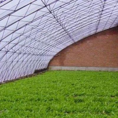 China Advanced Vegetable Sunlight Greenhouse with Humidity Control and Optimal Plant Growth for sale