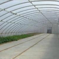 China Advanced Vegetable Sunlight Greenhouse with Humidity Control and Optimal Plant Growth for sale