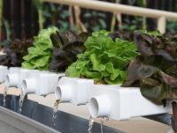 China Revolutionary Hydroponic Vertical Farming Technology for Shipping Container Greenhouse for sale