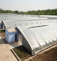 China 1209.00cm * 235.00cm * 239.00cm Tomato and Cucumber Planting Sunlight Greenhouse for Your for sale