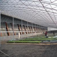 China 1209.00cm * 235.00cm * 239.00cm Tomato and Cucumber Planting Sunlight Greenhouse for Your for sale