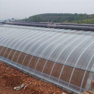 China 1209cm * 235cm * 239cm Film Greenhouse for Shading and Ventilation of Tomato Planting for sale