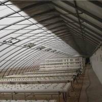 China 1209cm * 235cm * 239cm Film Greenhouse for Shading and Ventilation of Tomato Planting for sale