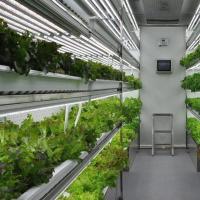 China Vertical Farming Container Greenhouse In Shipping Container Design for sale