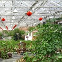 China Venlo Type Glass Greenhouse Customization with External Shading System for sale