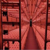 China High Humidity Vertical Farming Hydroponic Container Greenhouse For Vegetables for sale